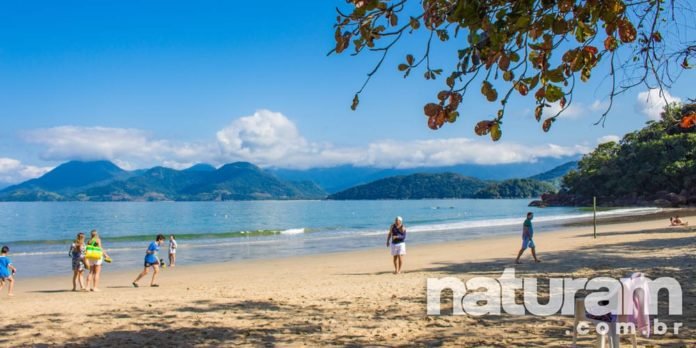 PRAIA DA ALMADA UBATUBA Guia atualizado 2024 NATURAM