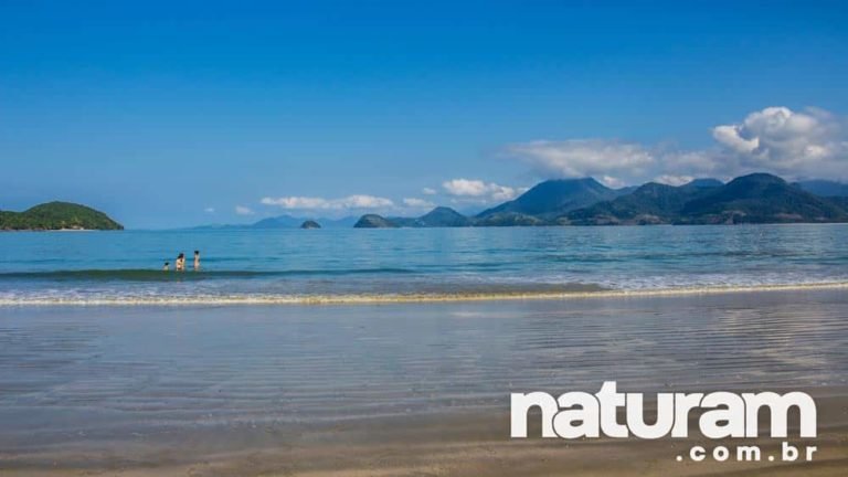 PRAIA DA ALMADA UBATUBA Guia atualizado 2024 NATURAM