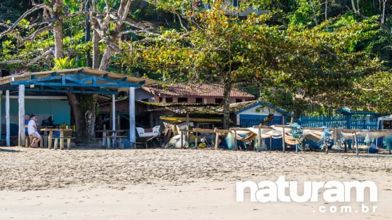 PRAIA DA ALMADA UBATUBA Guia atualizado 2024 NATURAM