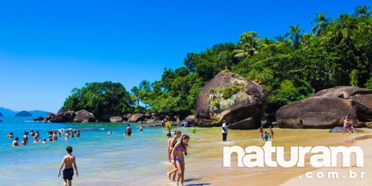 ILHA DO PRUMIRIM Ubatuba, um lugar incrível! NATURAM