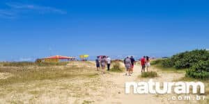 ILHA COMPRIDA SP: Guia Definitivo 2023 - NATURAM