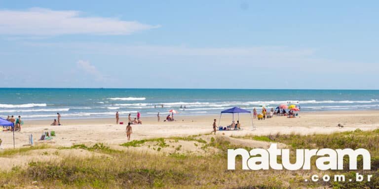 Iguape SP - Praia da Juréia - Guia 2026 Naturam