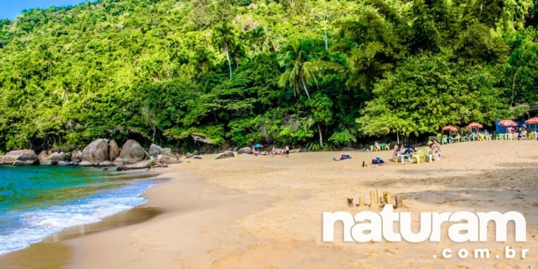 Trilhas em Ubatuba que você DEVE conhecer! | Naturam