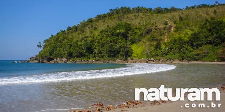 Praia de Castelhanos - Ilhabela - Guia Completo Naturam