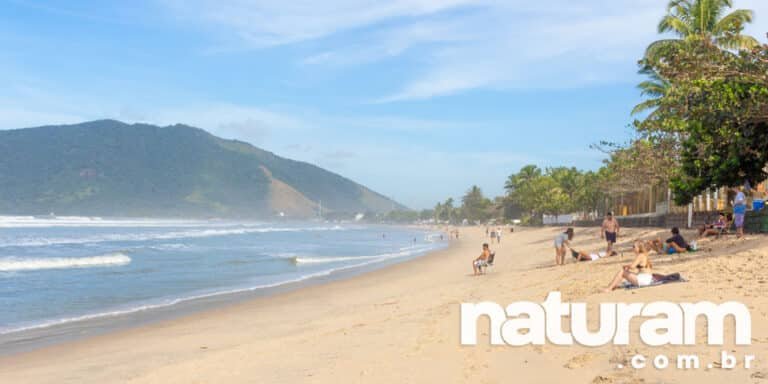PRAIA DO SAPÊ - UBATUBA, LITORAL NORTE SP - NATURAM