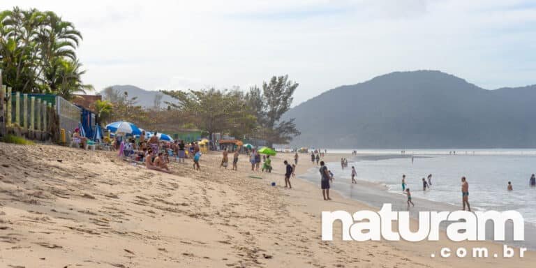 PRAIA DO SAPÊ - UBATUBA, LITORAL NORTE SP - NATURAM