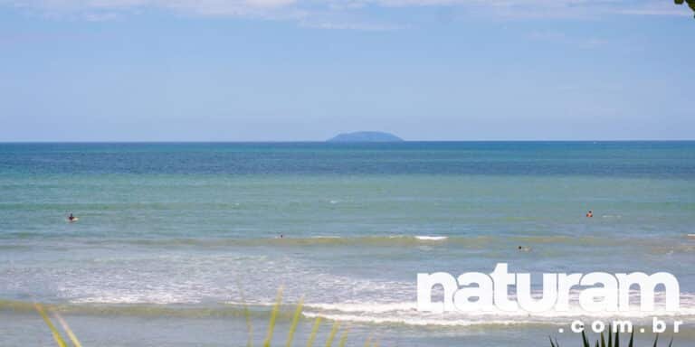 PRAIA DO SAPÊ - UBATUBA, LITORAL NORTE SP - NATURAM